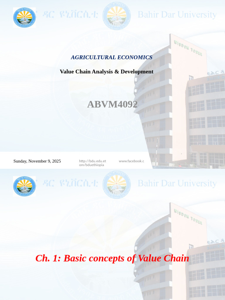 Value Chain Concepts in Agricultural Economics | PDF | Value (Economics ...