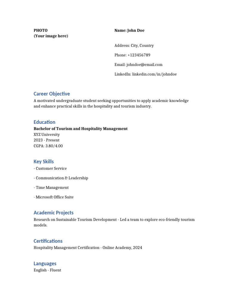 Demo Professional CV | PDF