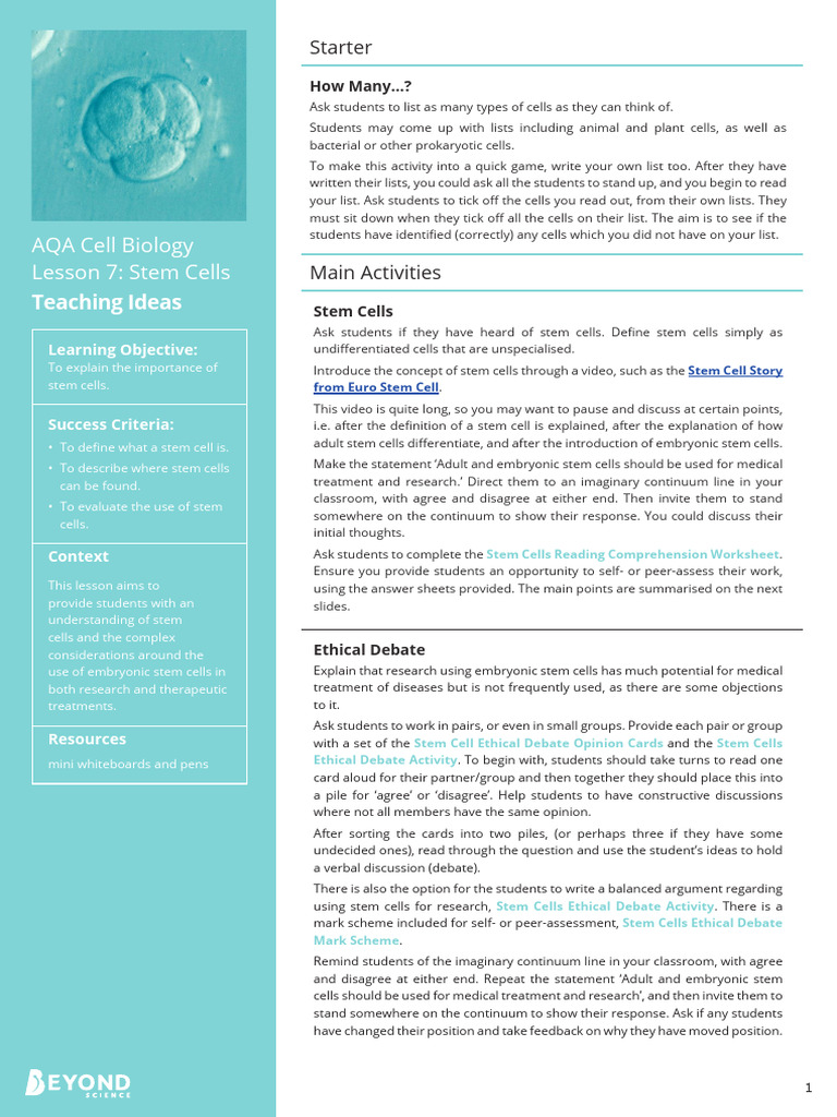 AQA Stem Cells Lesson Plan for KS3 | PDF | Stem Cell | Cell (Biology)
