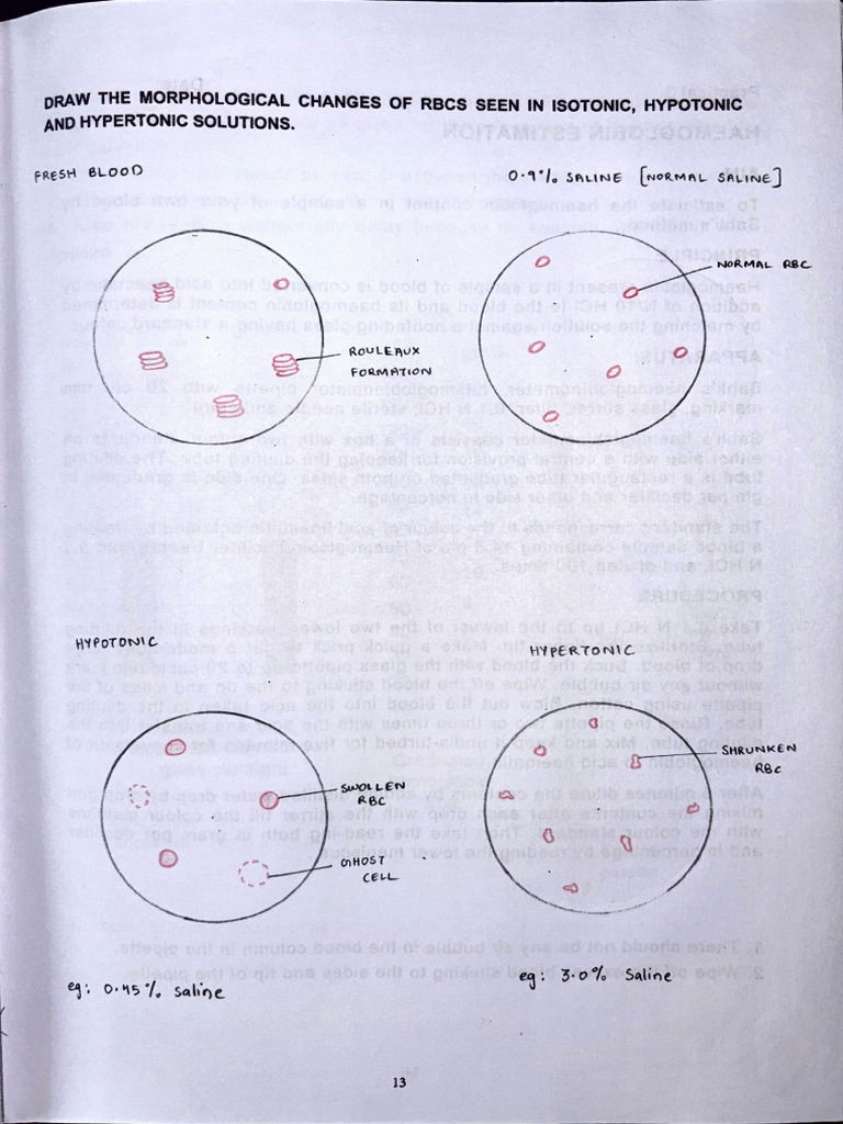 Physio Record | PDF