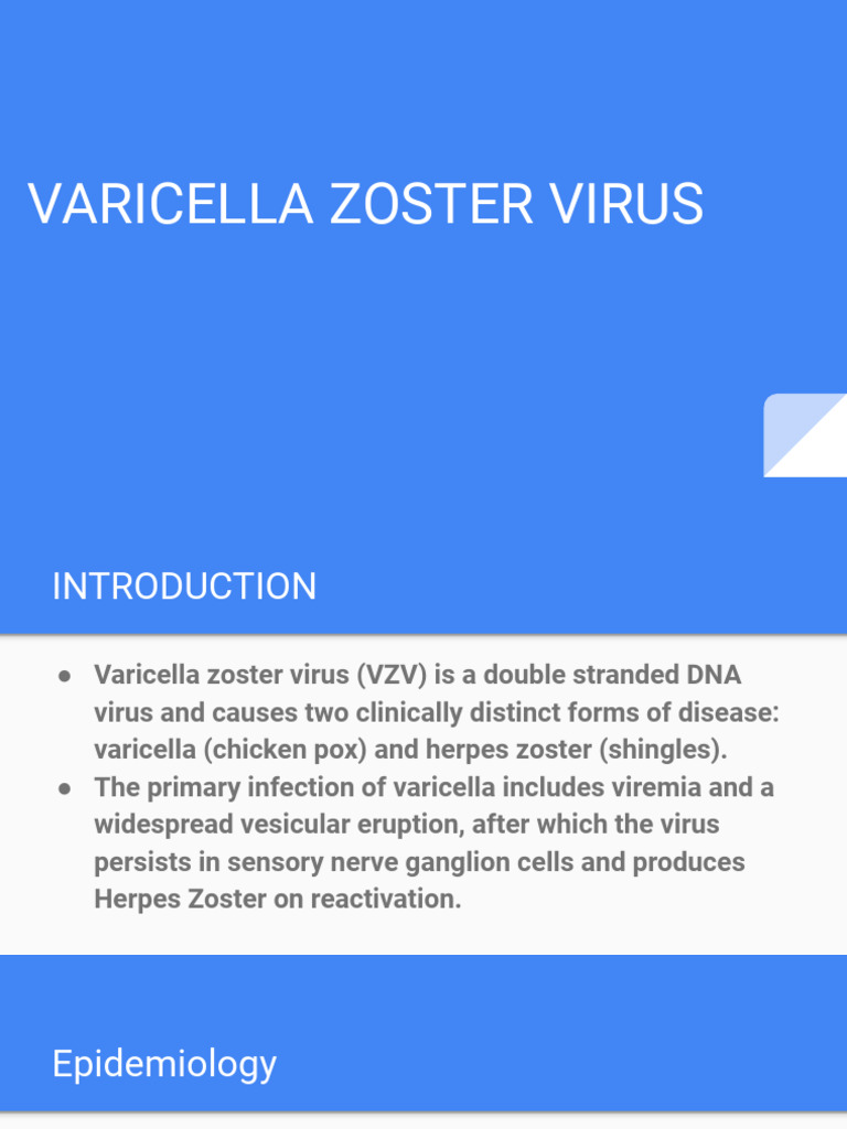 UG Class | PDF | Virus | Viral Diseases
