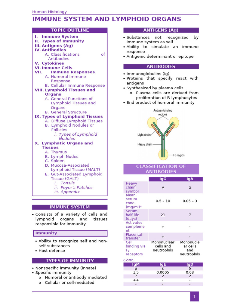 (Histo Lec) Immune System and Lymphoid Tissues | PDF | Lymphatic System ...