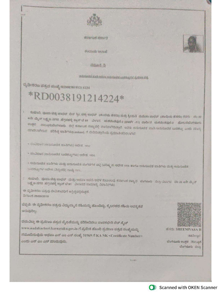 Caste - Income Compressed | PDF