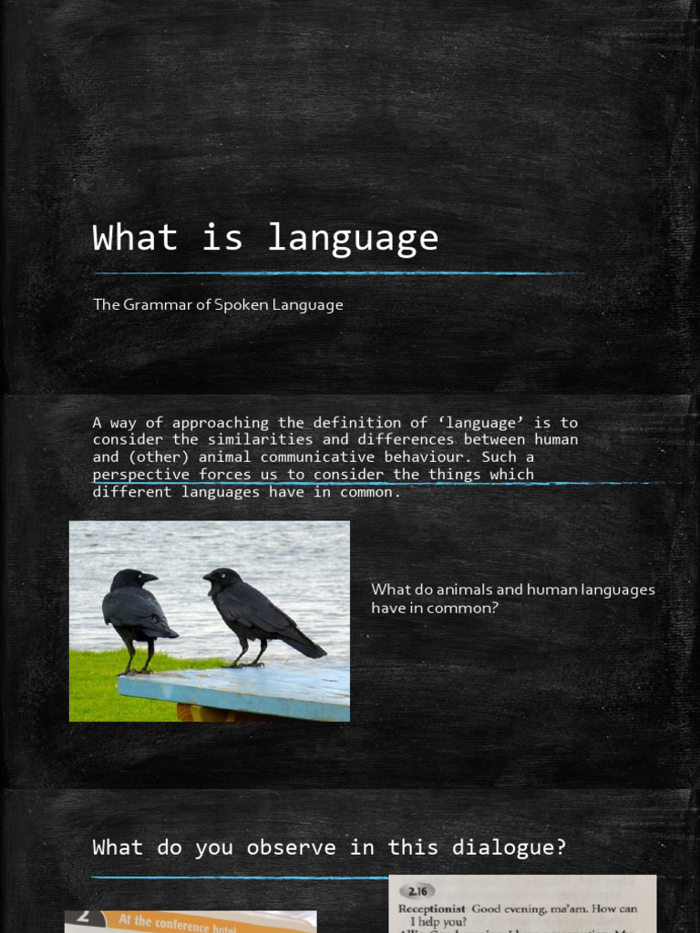 A What is Languagethe Gr of Spoken Lge | PDF