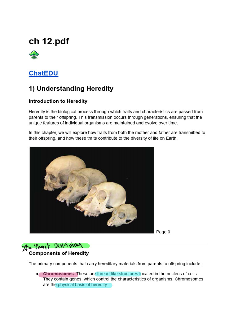 Heredity: Genes, DNA, and Evolution | PDF | Dna | Genetics