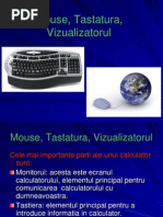 Dispozitive Periferice de Intrare Iesire | PDF