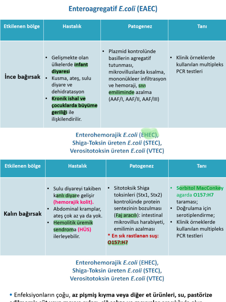 1.enterobacterales Öğrenci (1) | PDF