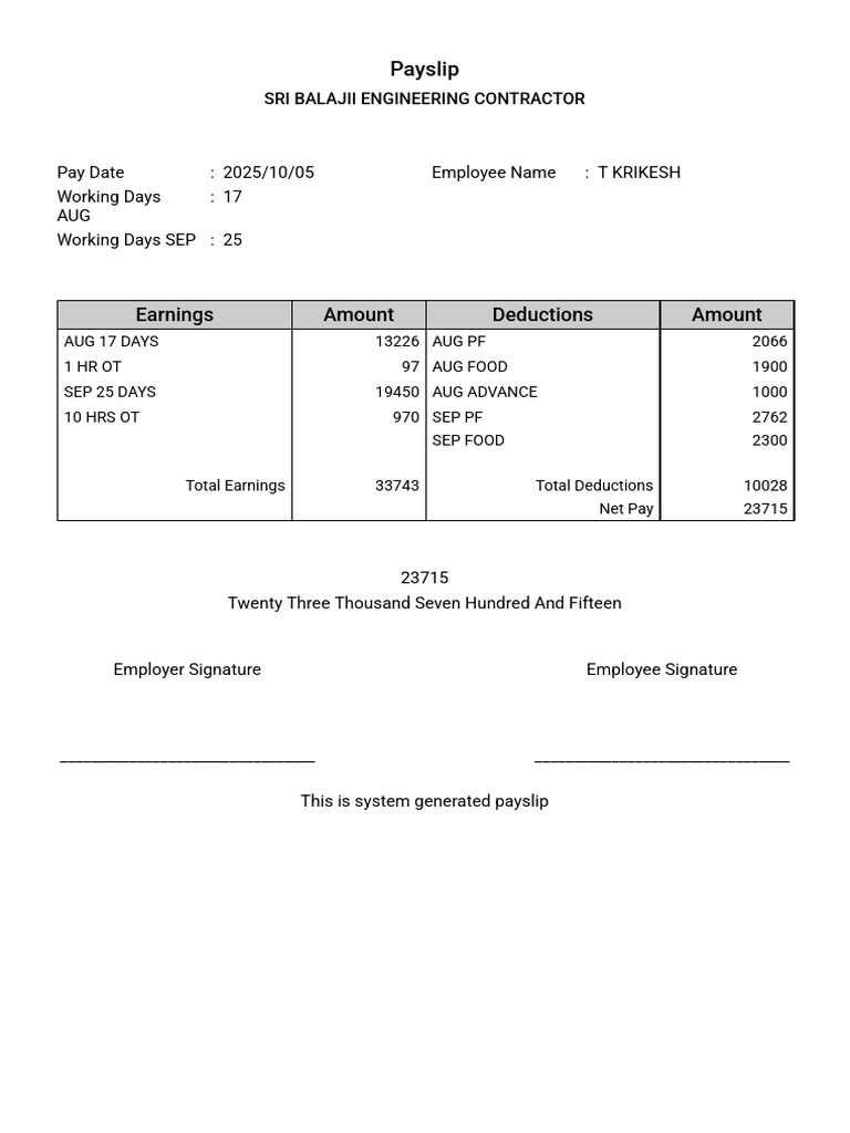 Payslip | PDF