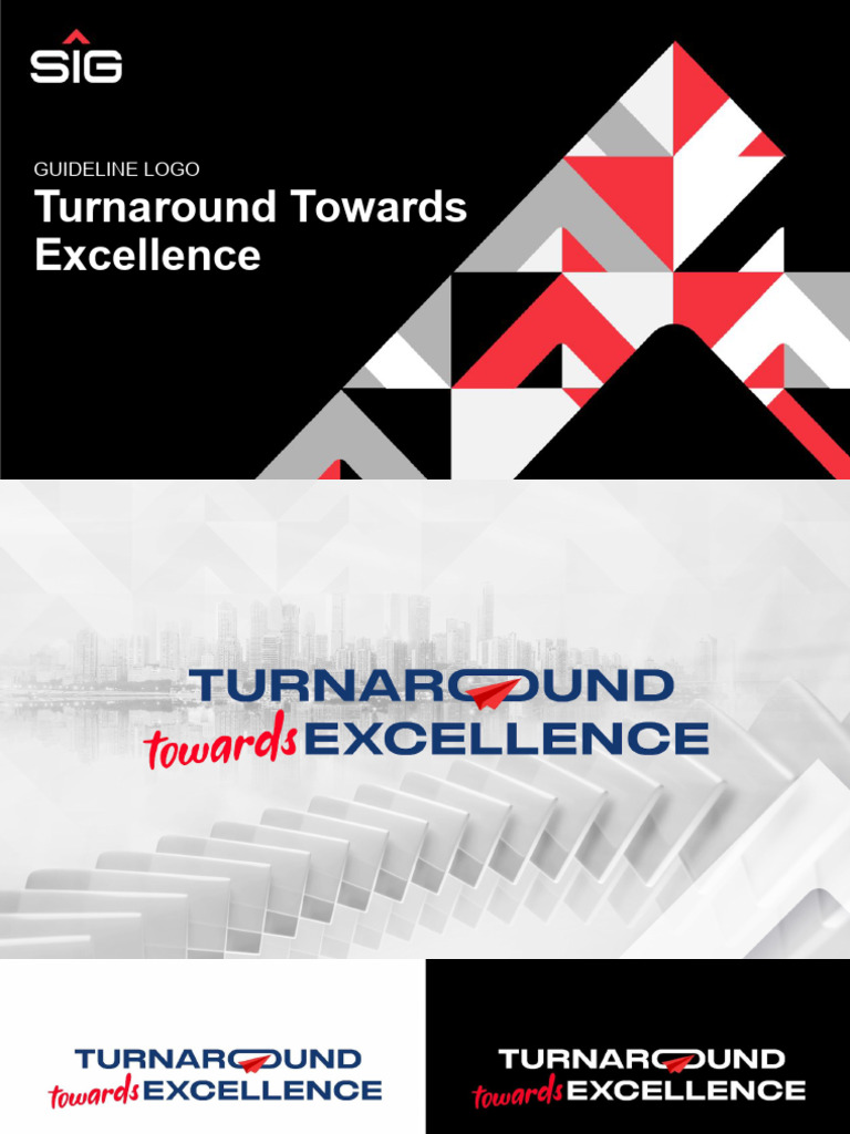 Guideline Turnaround Towards Excellence | PDF