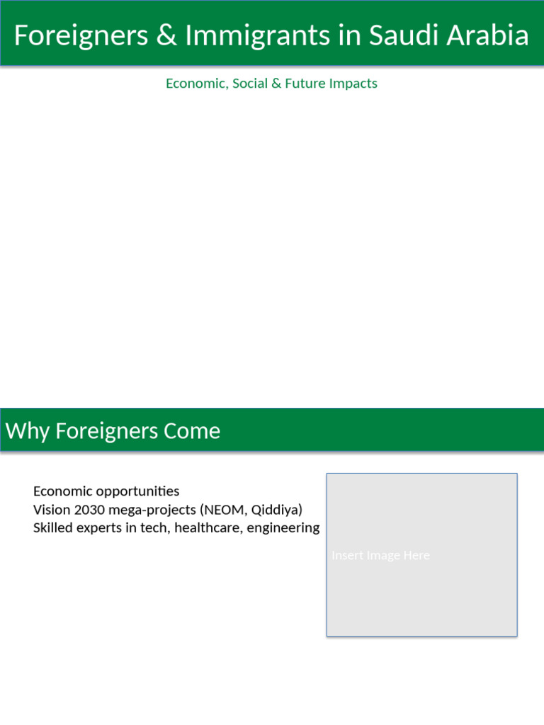 Saudi Immigration Premium Design | PDF