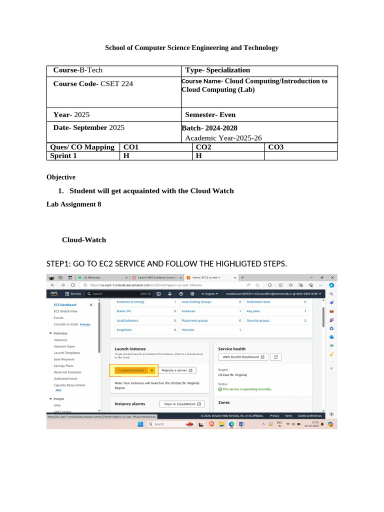 Cloud Computing Lab Assignment Guide | PDF