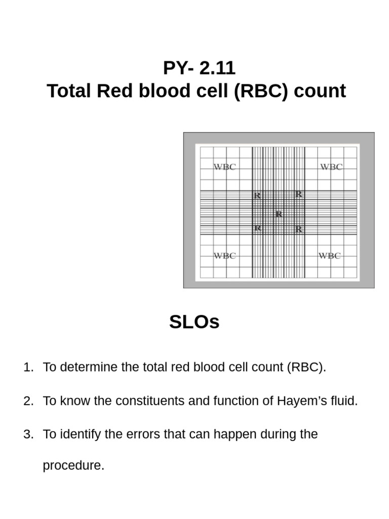 RBC 2024-K3 Batch Using Newbaurs Chamber | PDF | Red Blood Cell | Anemia