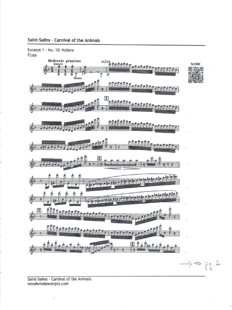Voliere Flute Excerpt | PDF