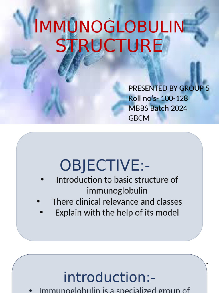 Immunoglobulin Structure and Classes | PDF