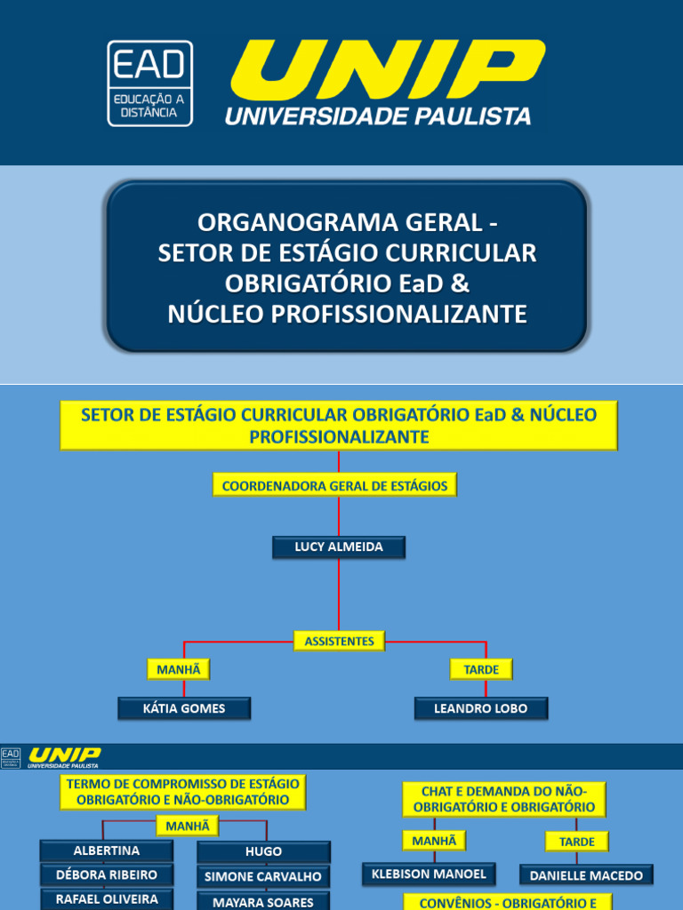 Organograma Unip Dejavu | PDF