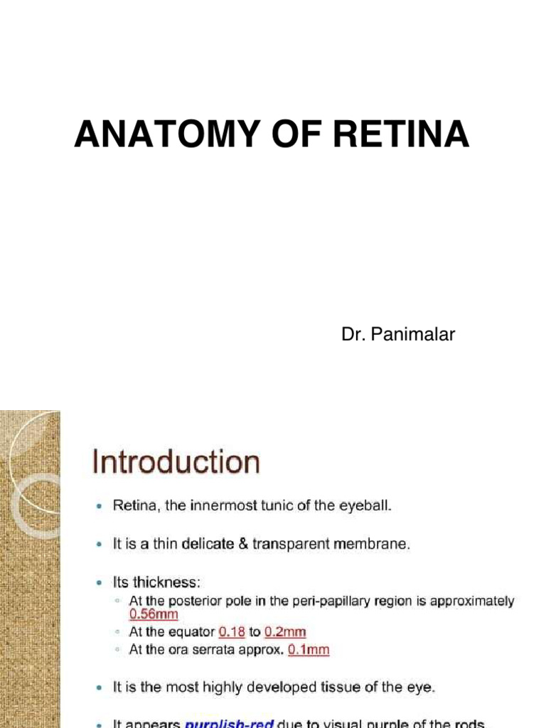 Anatomy of Retina | PDF