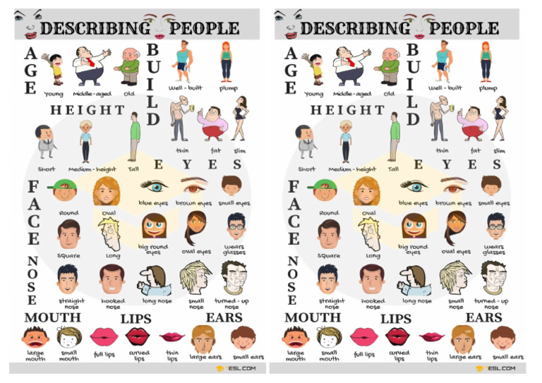 Describing Physical Appearance | PDF