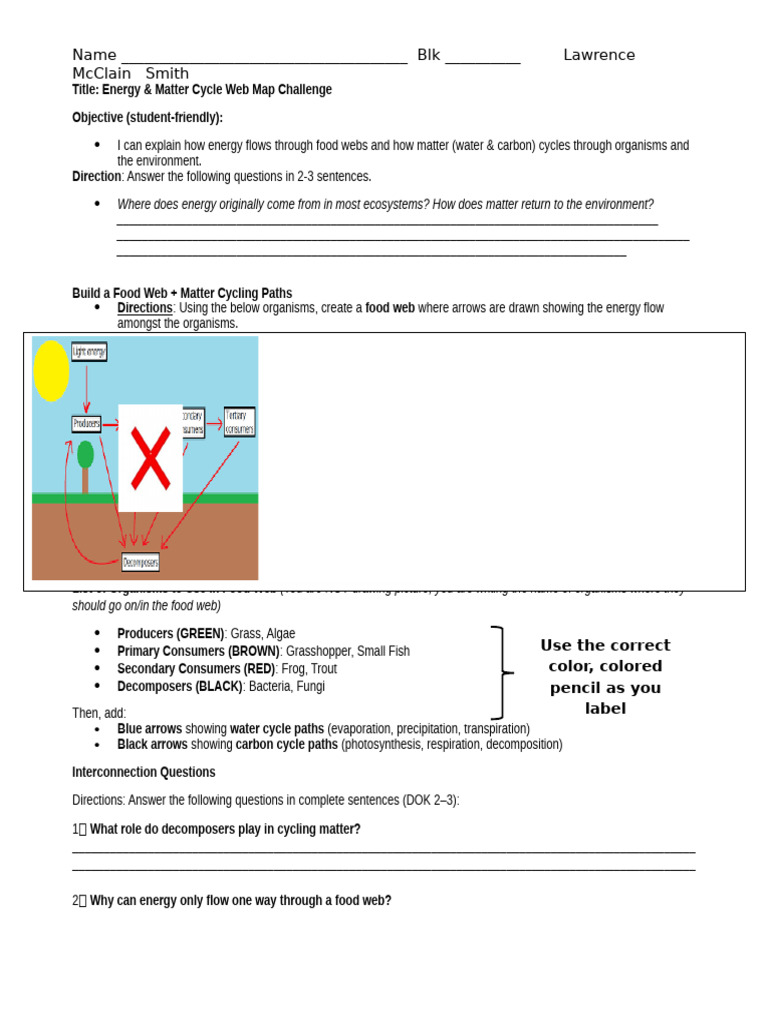 Energy Flow and Matter Cycling Challenge | PDF | Food Web | Ecosystem
