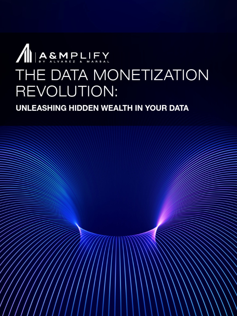 The Data Monetization Revolution - Unleashing Hidden Wealth in Your ...