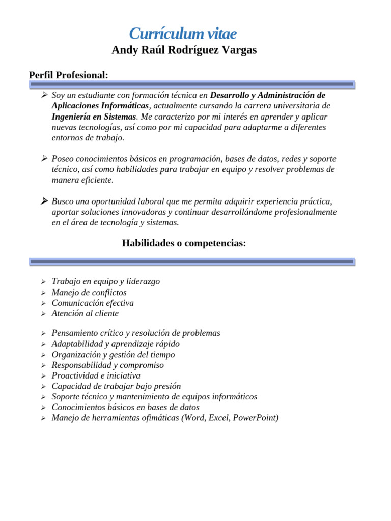Andy Rodriguez Currículum Vitae | PDF | Informática | Soporte técnico