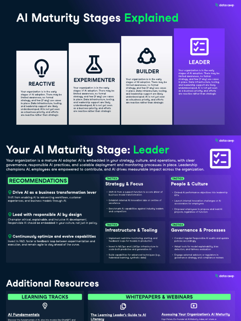 Your Ai Maturity Stage Leader | PDF | Artificial Intelligence ...