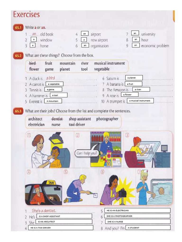 Homework A An Singular Plural Nouns | PDF