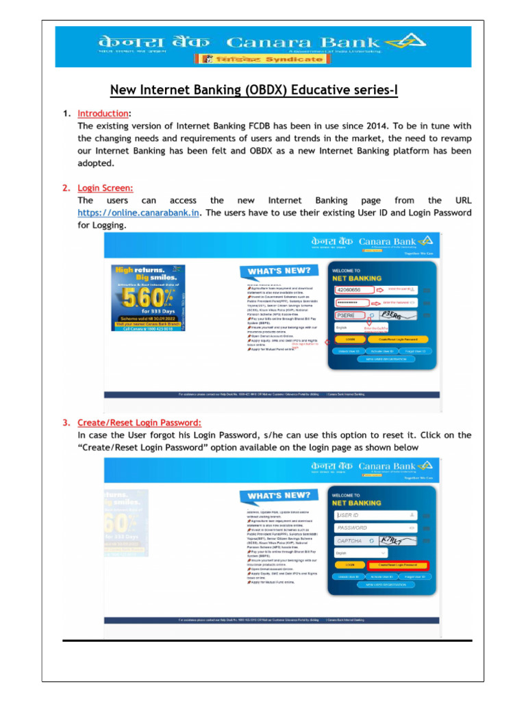 New IB Login Guidelines | PDF