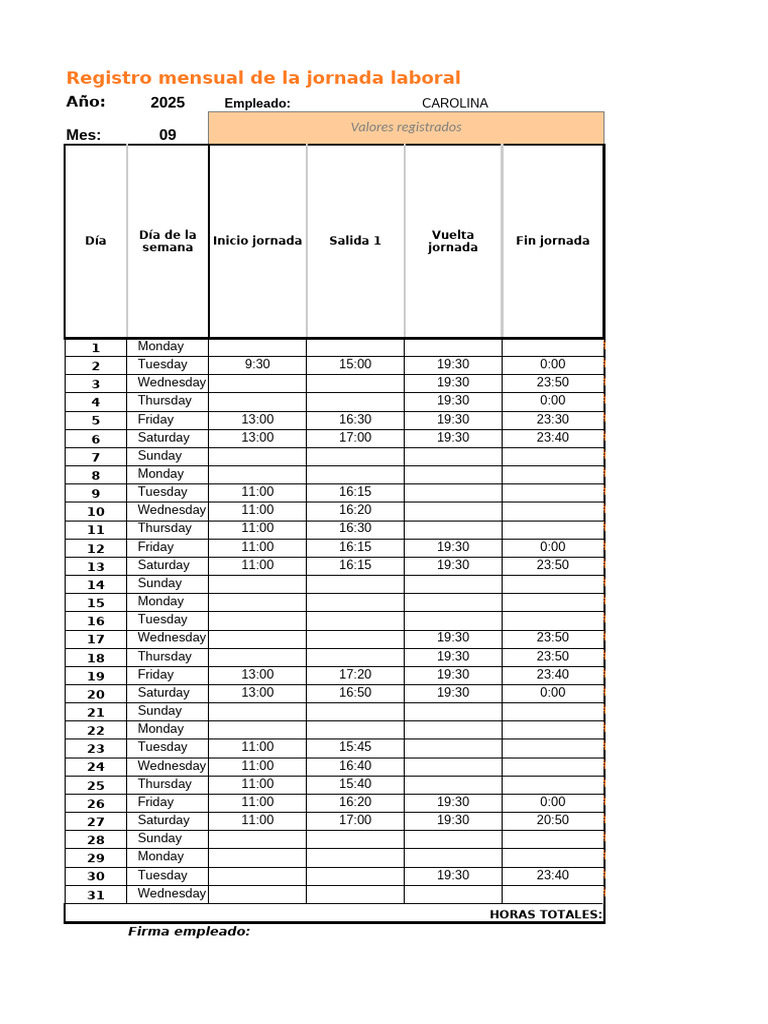 Imesd Plantilla Registro Jornada | PDF