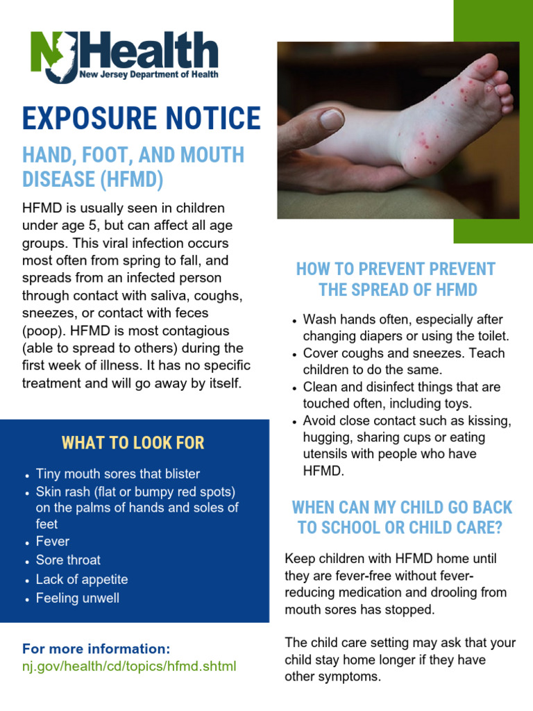 HFMD Prevention and Care Guide | PDF