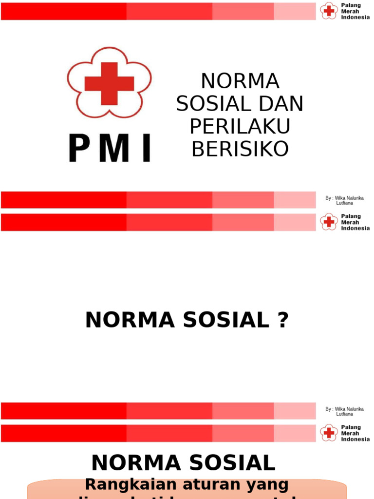 Norma Sosial Dan Perilaku Berisiko | PDF