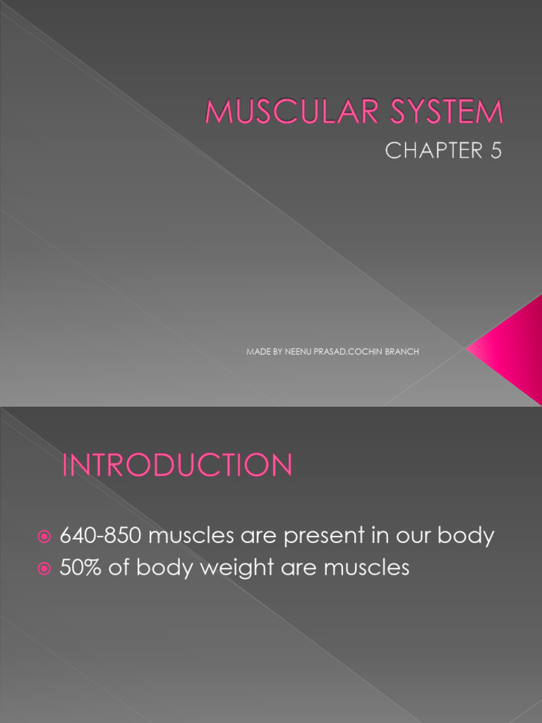 5.muscular System | PDF | Muscle | Skeletal Muscle