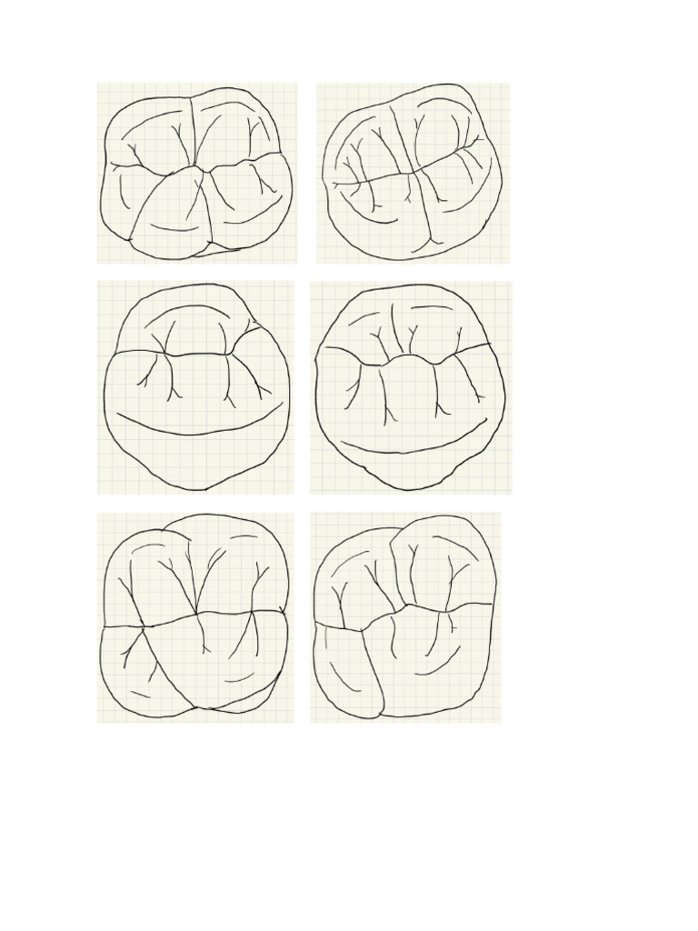 Molar Es | PDF