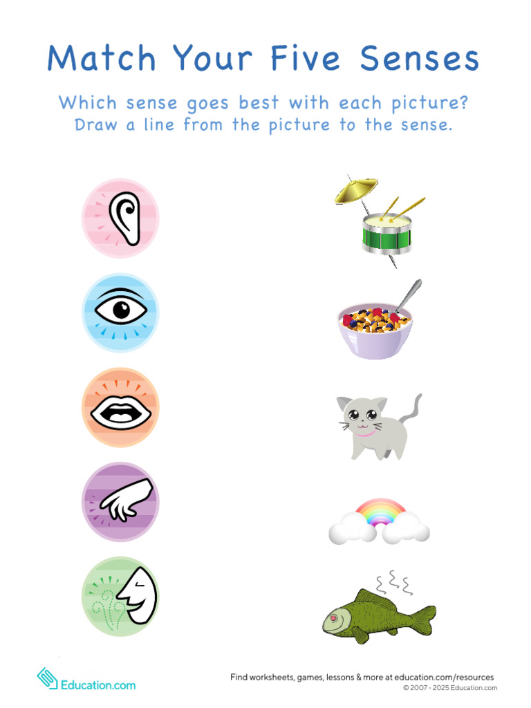 Five Senses Match | PDF