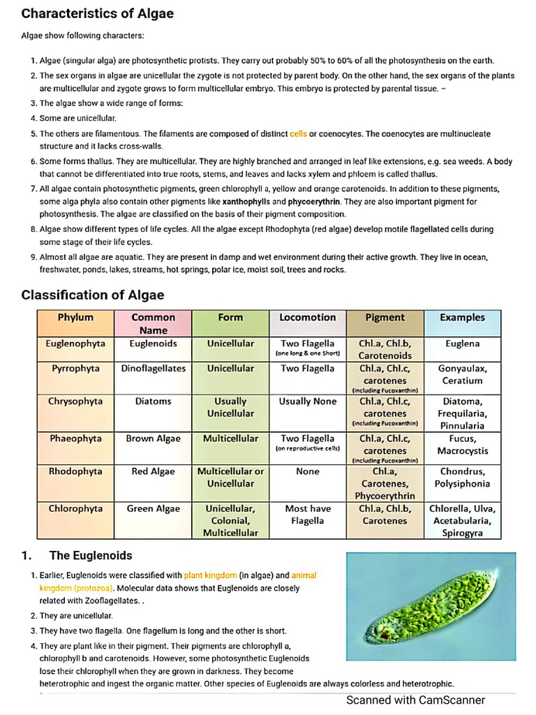 General Characteristics and Classification of Algae | PDF