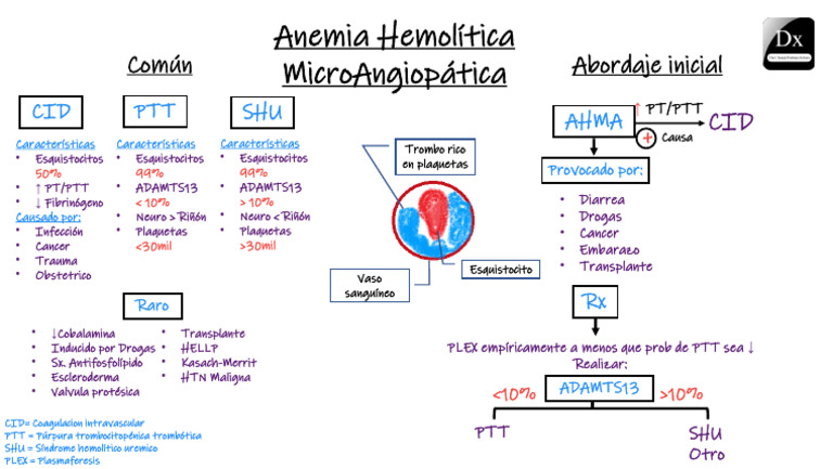 Anemia Hemolitica Microangiopatica | PDF | Enfermedades y trastornos ...