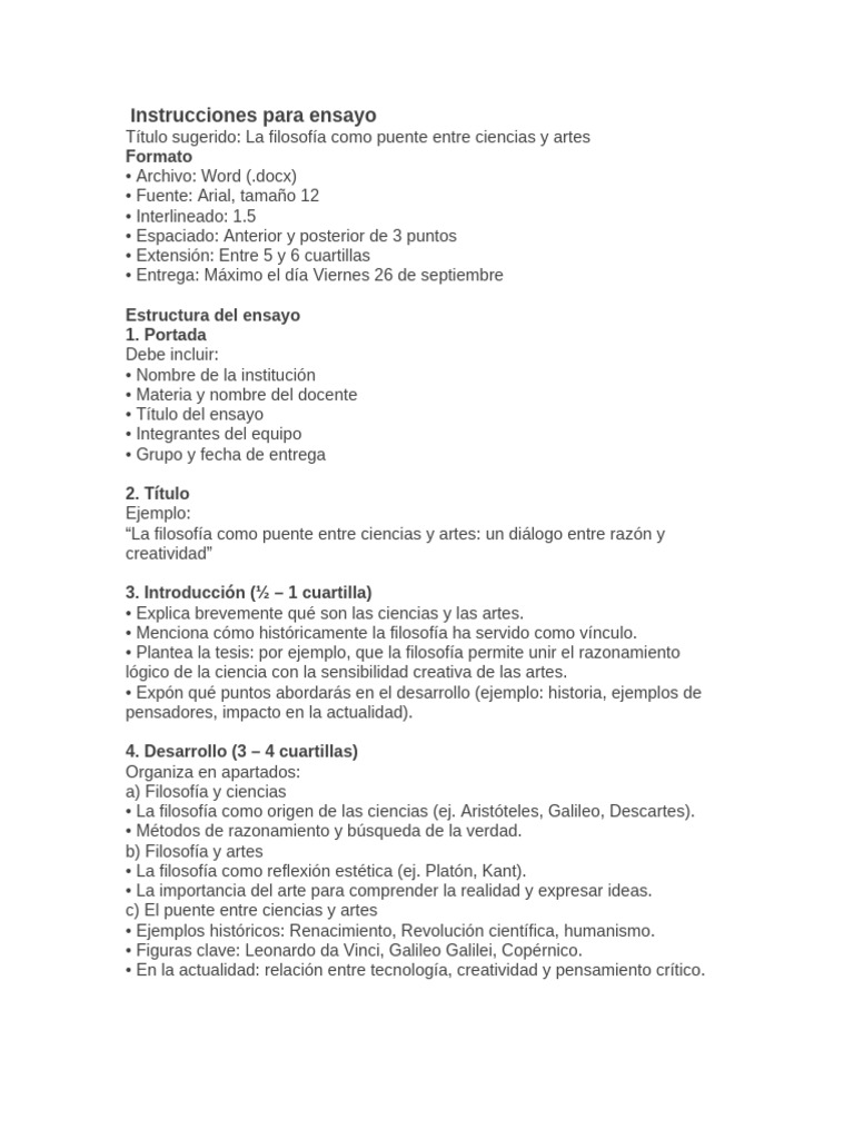 Instrucciones para Ensayo | PDF