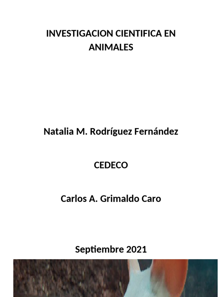 Investigacion Cientifica en Animales | PDF | Pruebas en animales ...