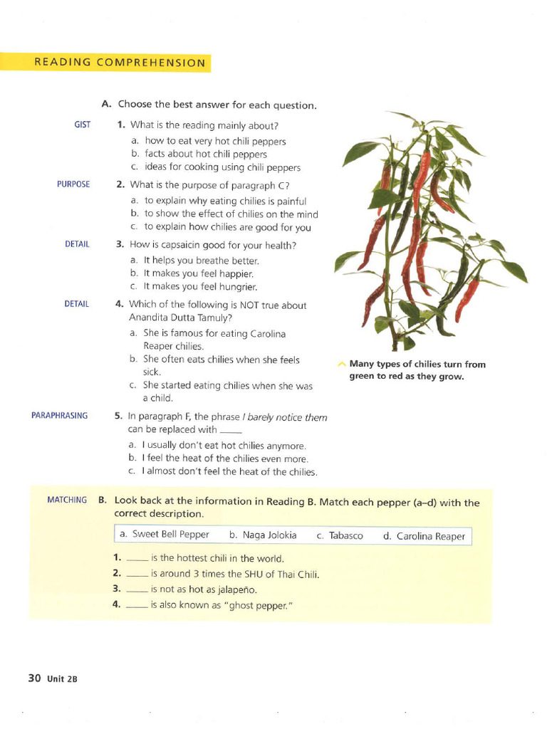 Reading Explorer Foundation SB 31 | PDF