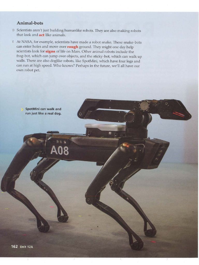 Reading Explorer Foundation SB 163 | PDF