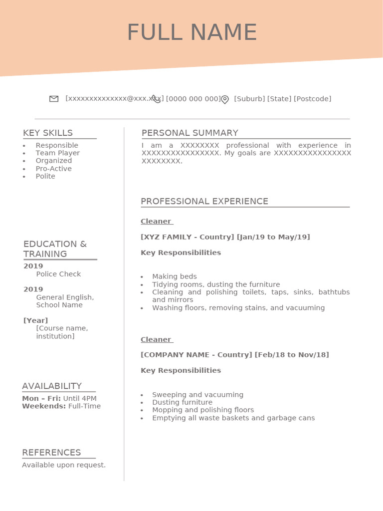 Cleaner | PDF
