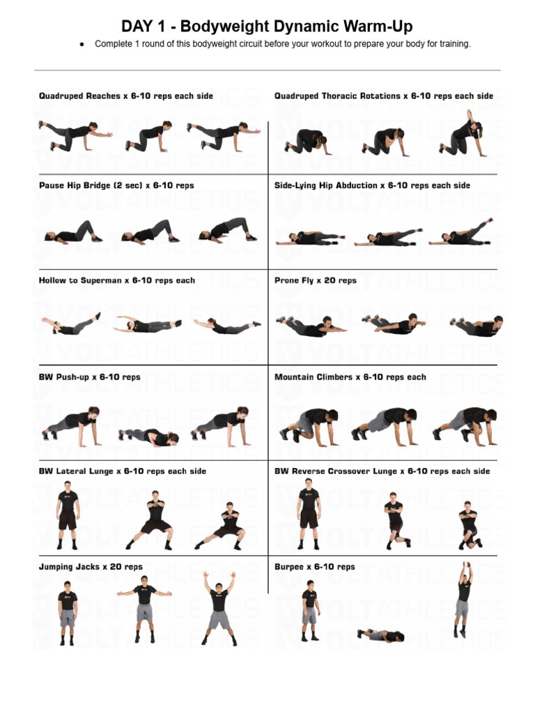 Dynamic Stretching Workout | PDF