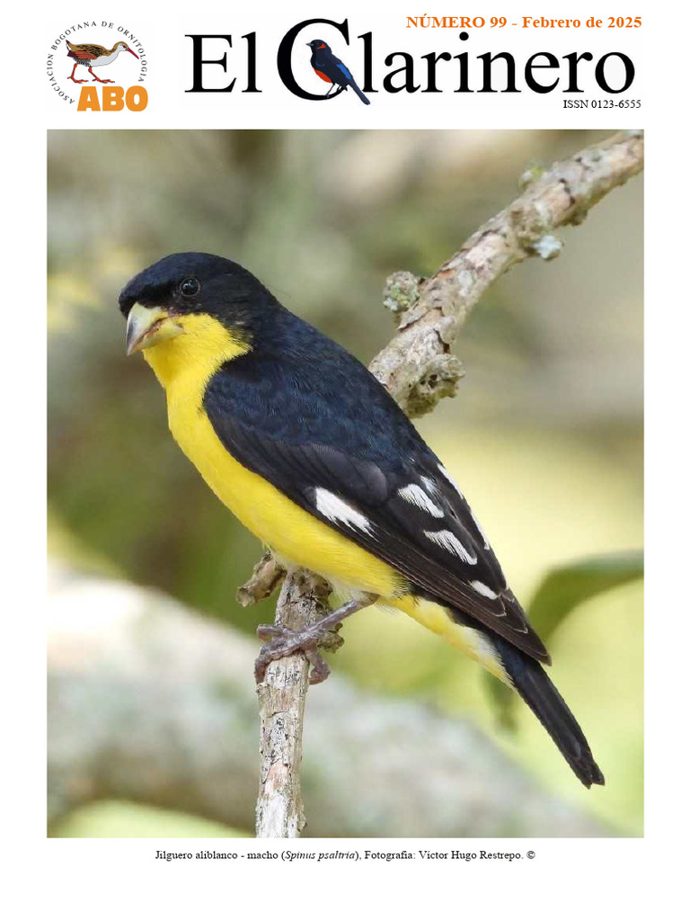 El Clarinero No 99 1740092168 | PDF | Bogotá | Aves