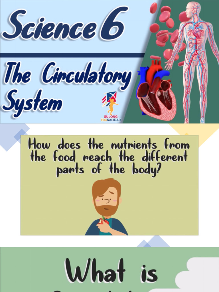 Science6 Q2W4 Lesson2 Circulatory-System | PDF