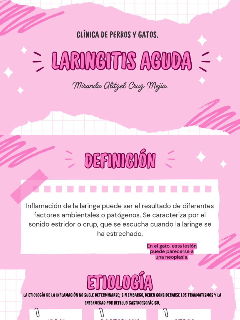 Laringitis Aguda - Clínica de Perros y Gatos | PDF | Inflamación | Tos