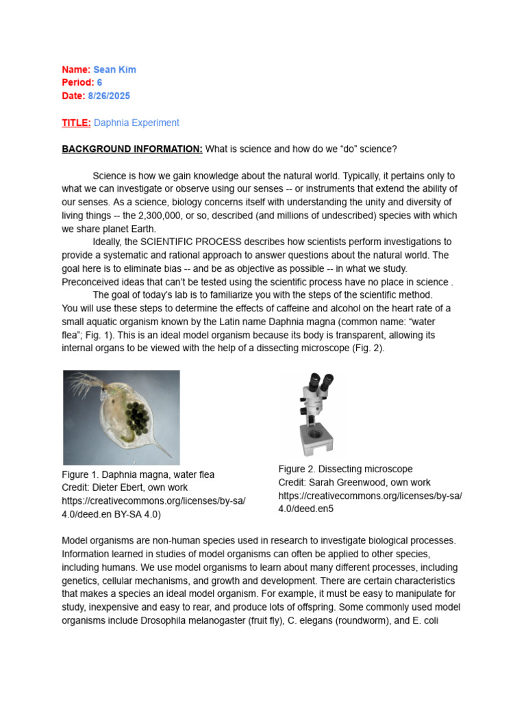 Honors Biology Sean Kim Lab 1 - The Scientific Process | PDF | Heart ...