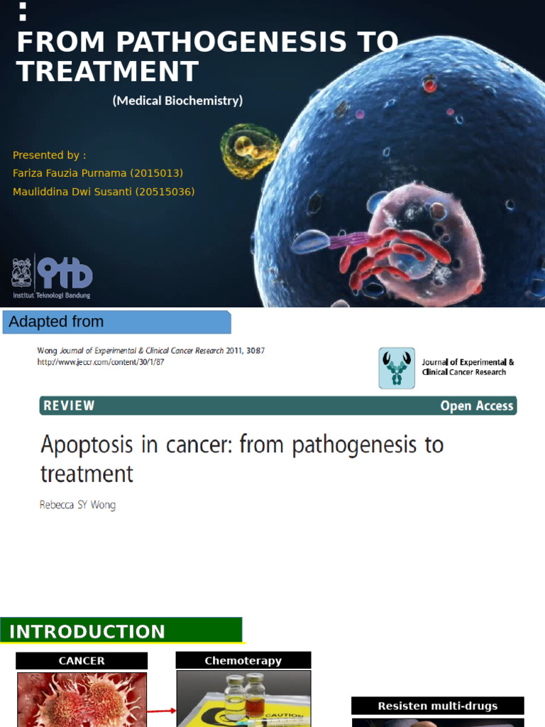 Apoptosis in Cancer Biomed | PDF | Apoptosis | Caspase