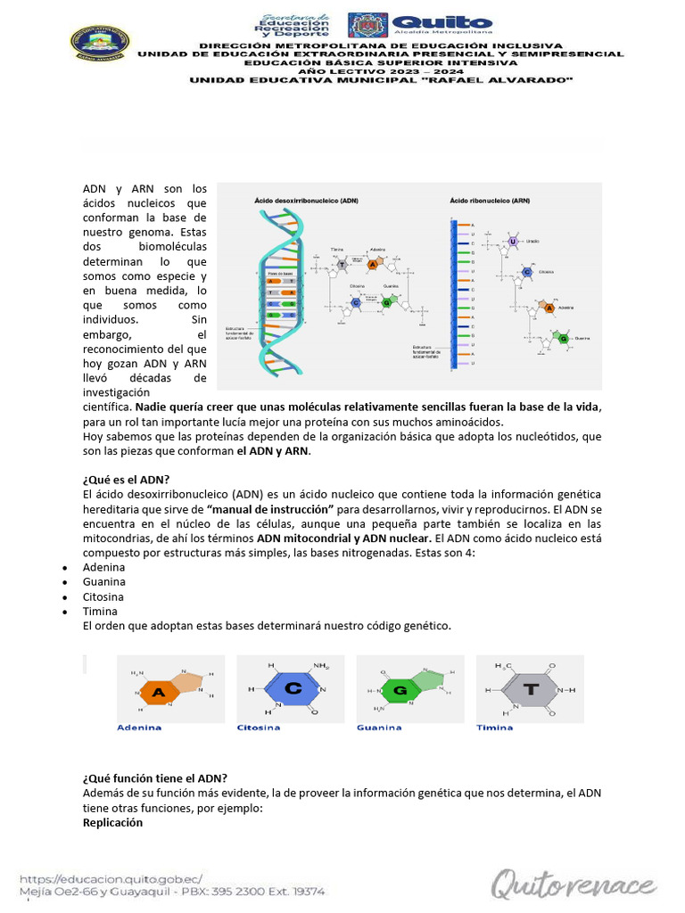 6 Esquema Contenidos Biologia Semana 10 ADN ARN NUCLEOTIDOS | PDF | Rna ...