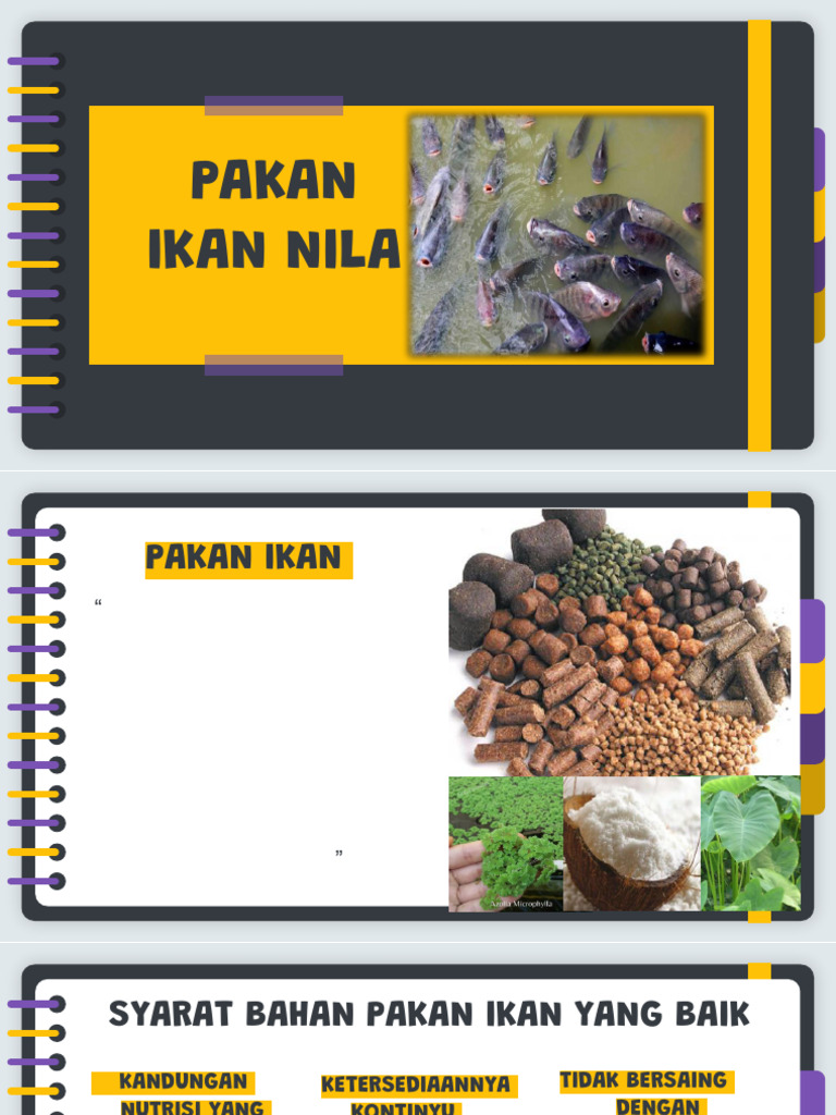 Pakan Ikan Nila | PDF