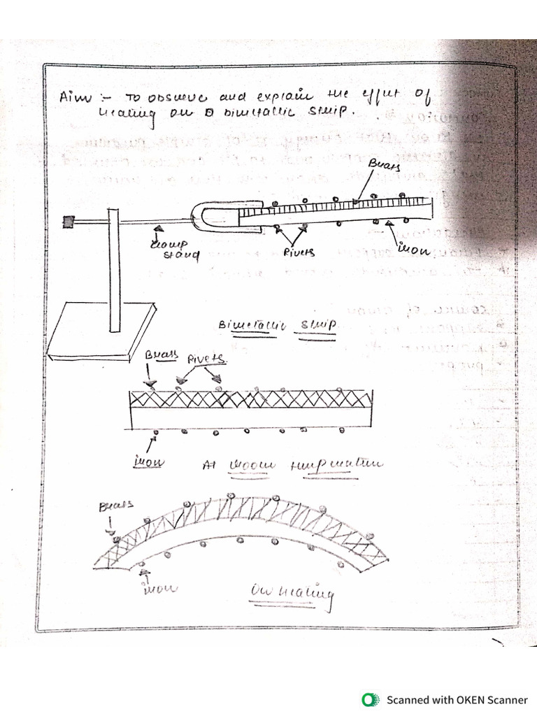 Physics Activity 4 | PDF