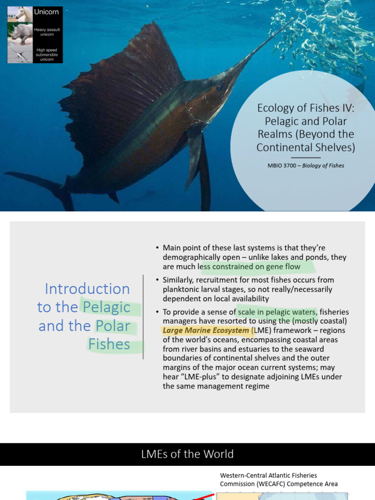 Aula 24 Ecology of Fishes IV Pelagic and Polar Realms | PDF | Fish | Oceans